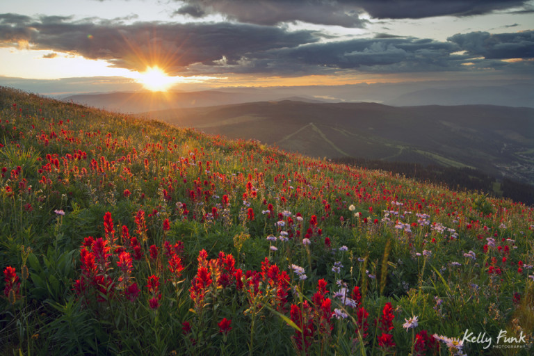 My favourites of 2015 - Kelly Funk Photography